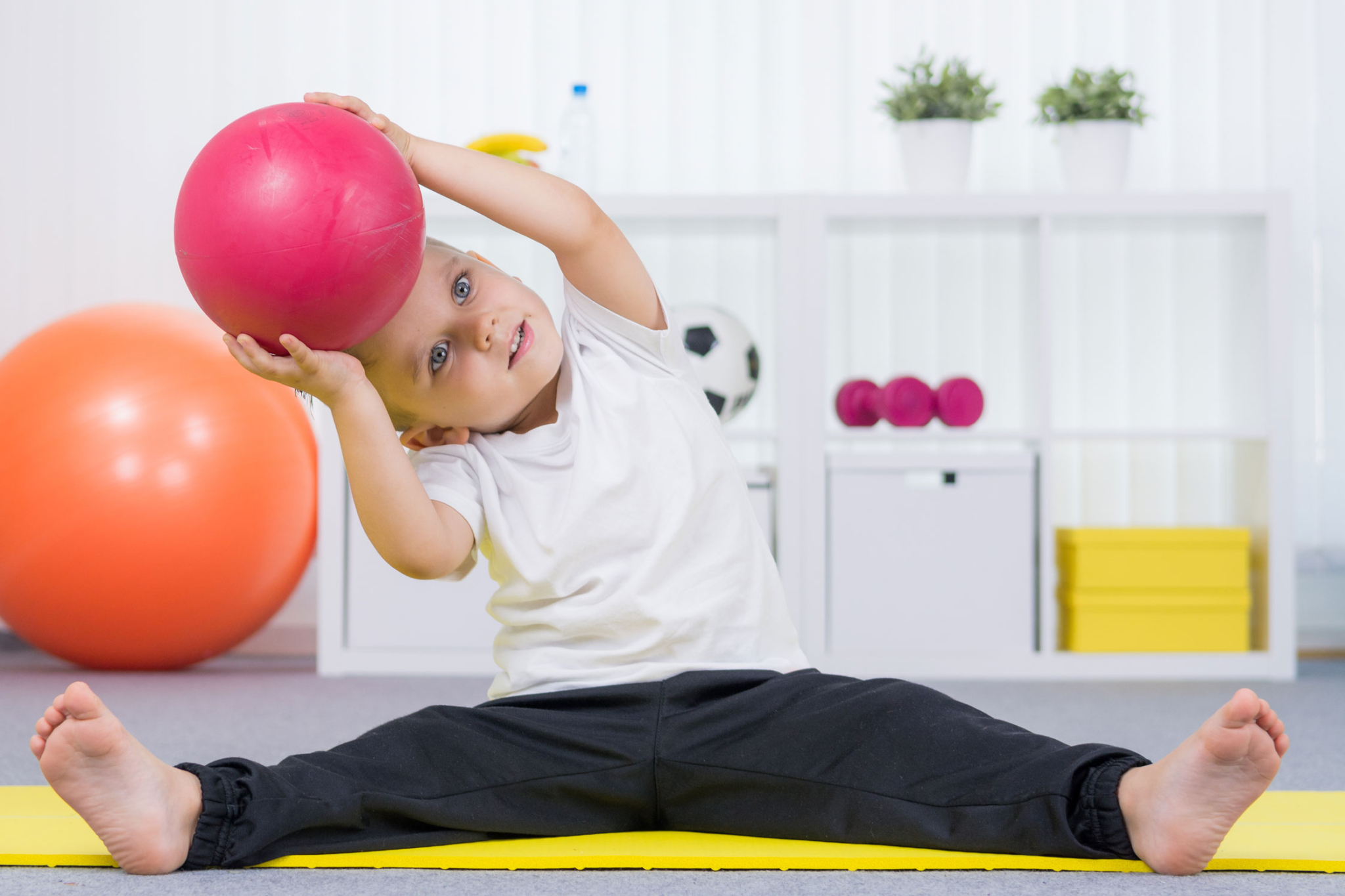 Trunk Stability & Mobility: Foundation for Physical Development ...